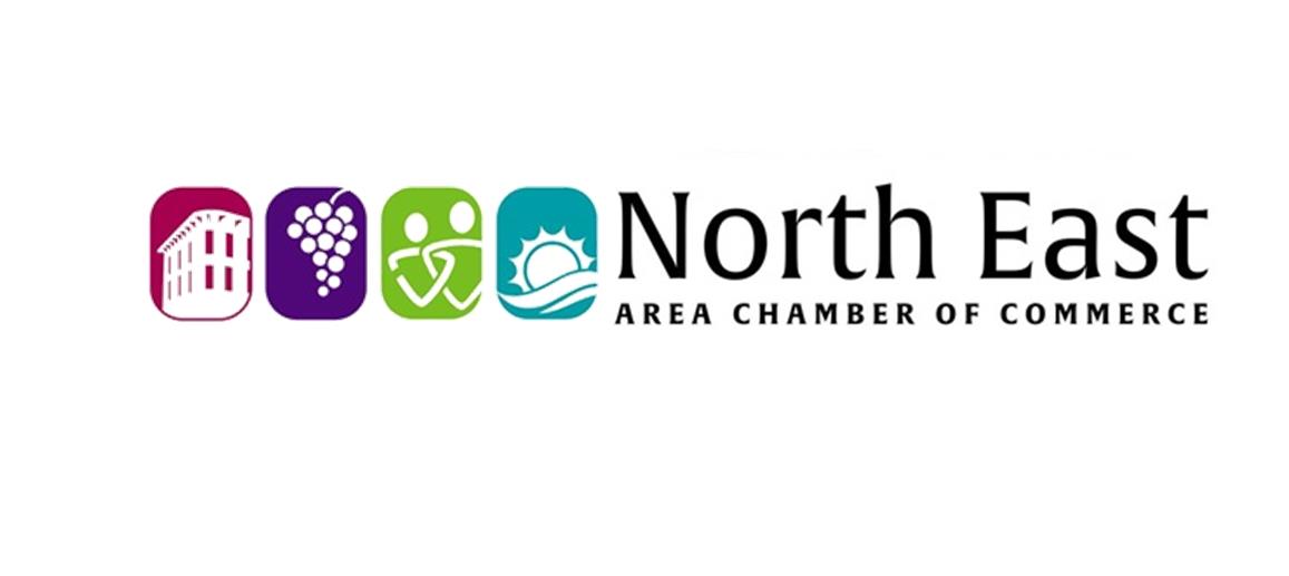 NEACC logo_1230x10 – Enjoy North East